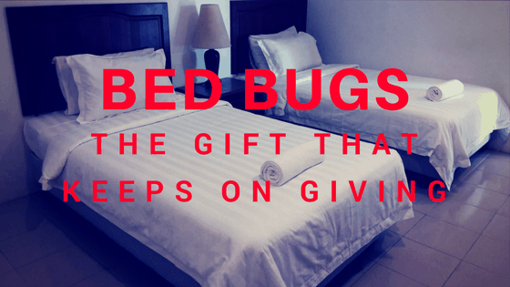 Bed Bugs, The Gift That Keeps On Giving And Giving
