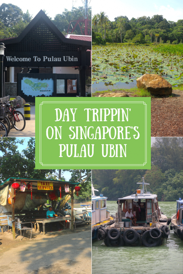 Pulau Ubin Island, Guide to Singapore's Unique Island Paradise