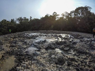 3 Unique Places to Stay in the Jungles of Sabah - The Island Drum