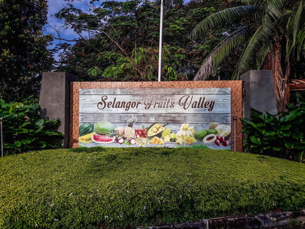 Selangor Fruit Valley Agro Adventure, Good Old-Fashioned Fun