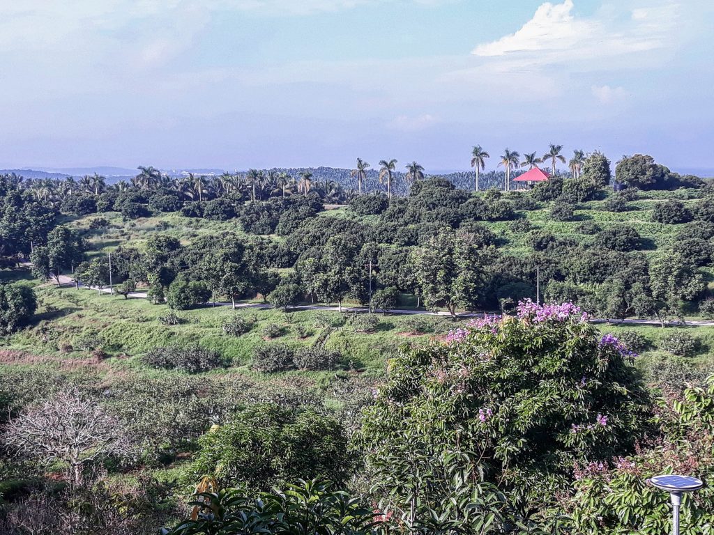 Selangor Fruit Valley Agro Adventure, Good Old-Fashioned Fun