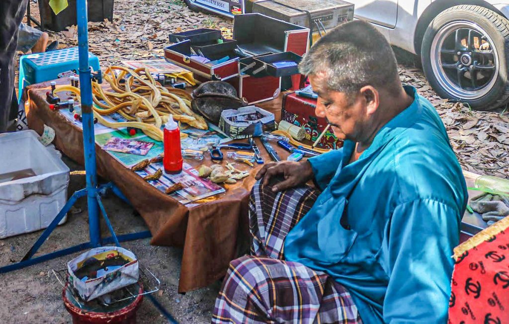 Nat Pokok Getah, King of Perlis Flea Markets - The Island Drum