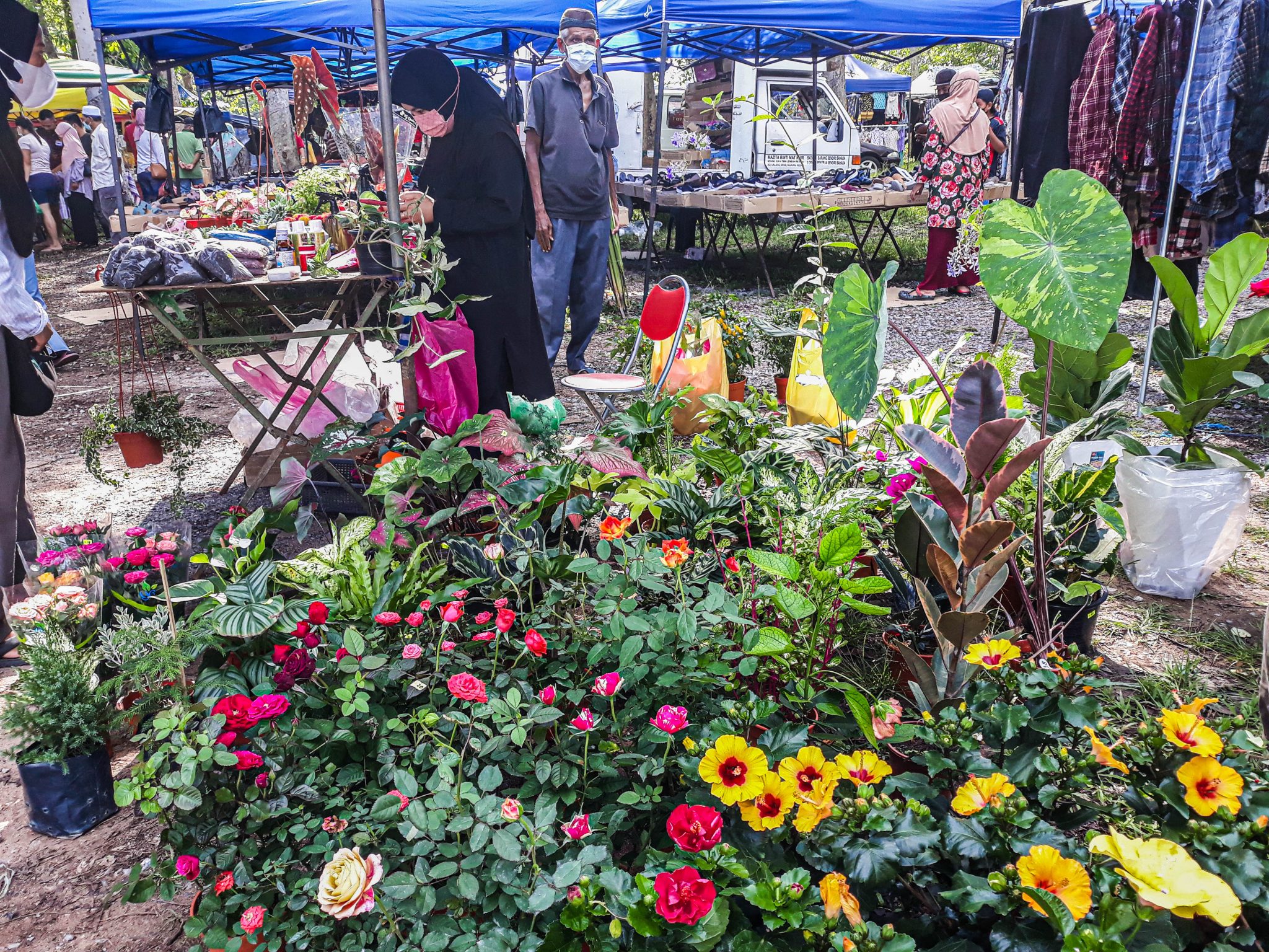 Nat Pokok Getah, King of Perlis Flea Markets - The Island Drum