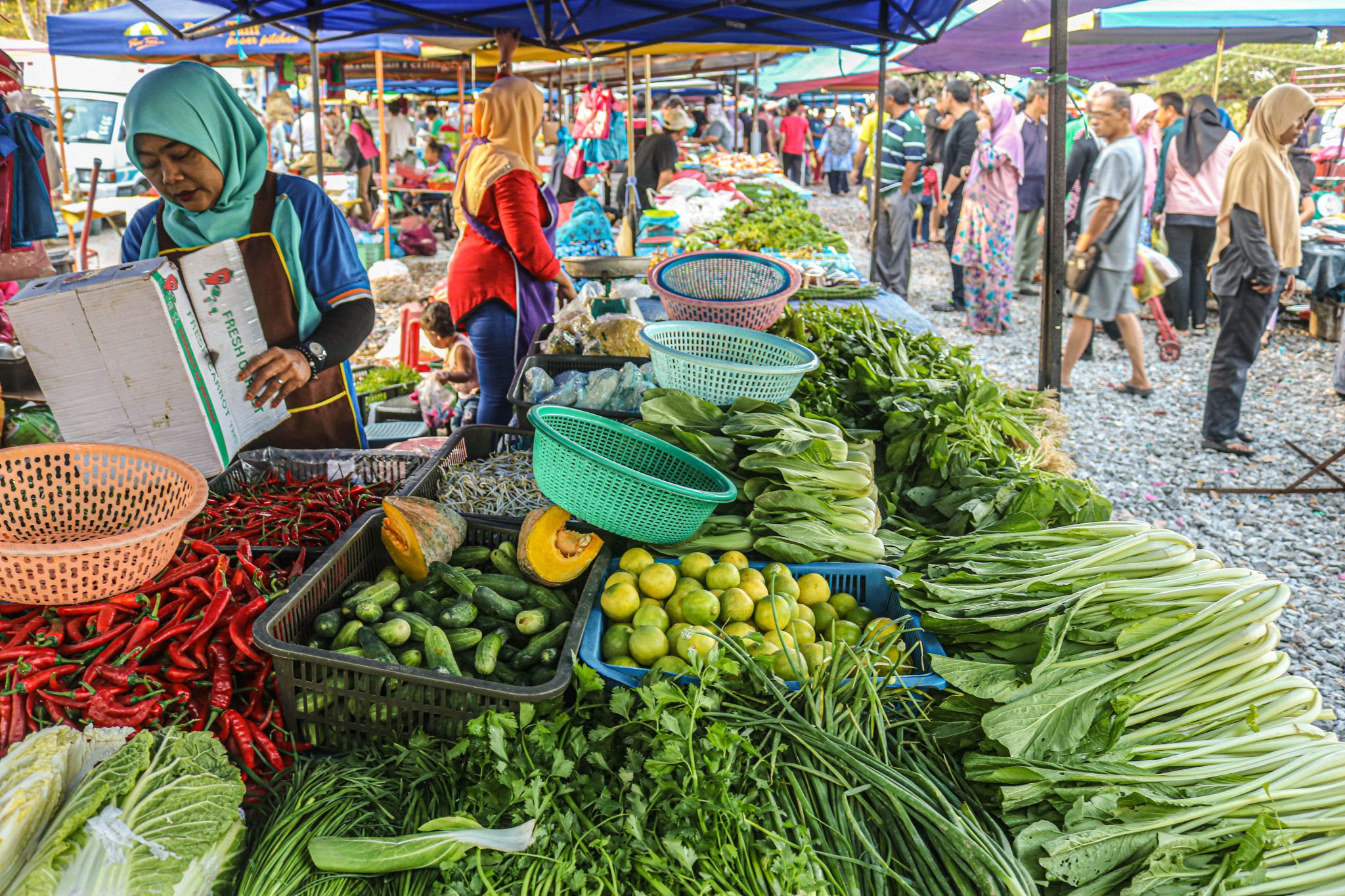 Nat Pokok Getah, King of Perlis Flea Markets - The Island Drum