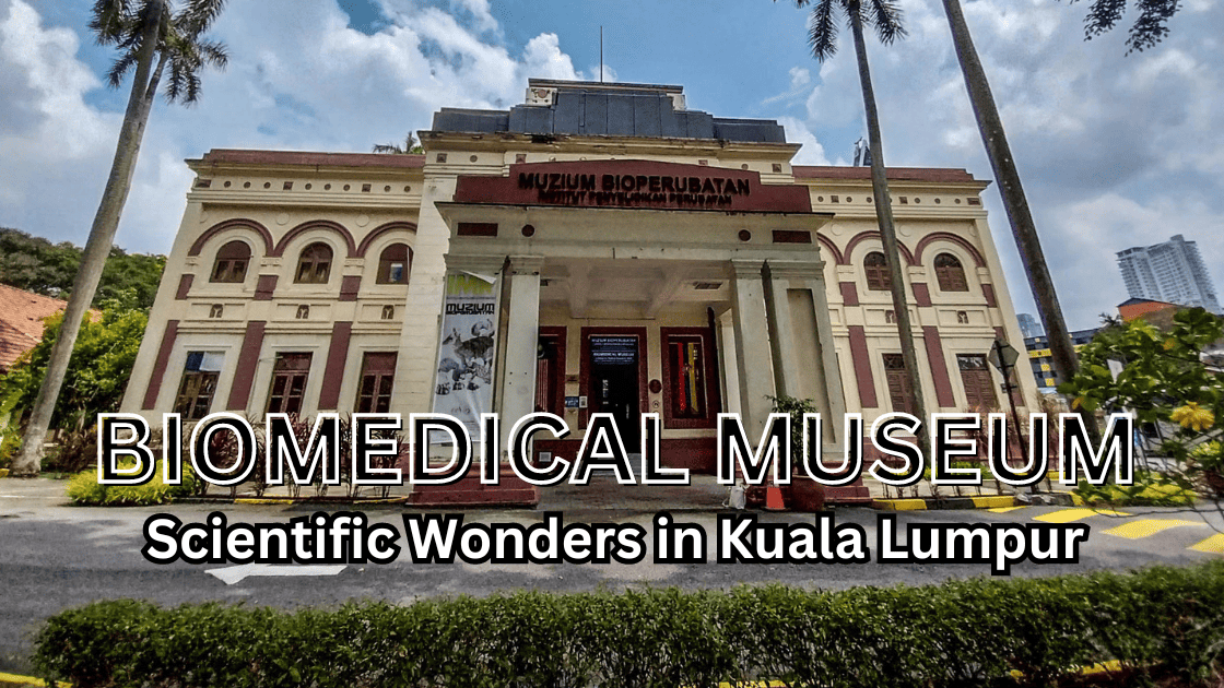 Biomedical Museum, Scientific Wonders in Kuala Lumpur - The Island Drum