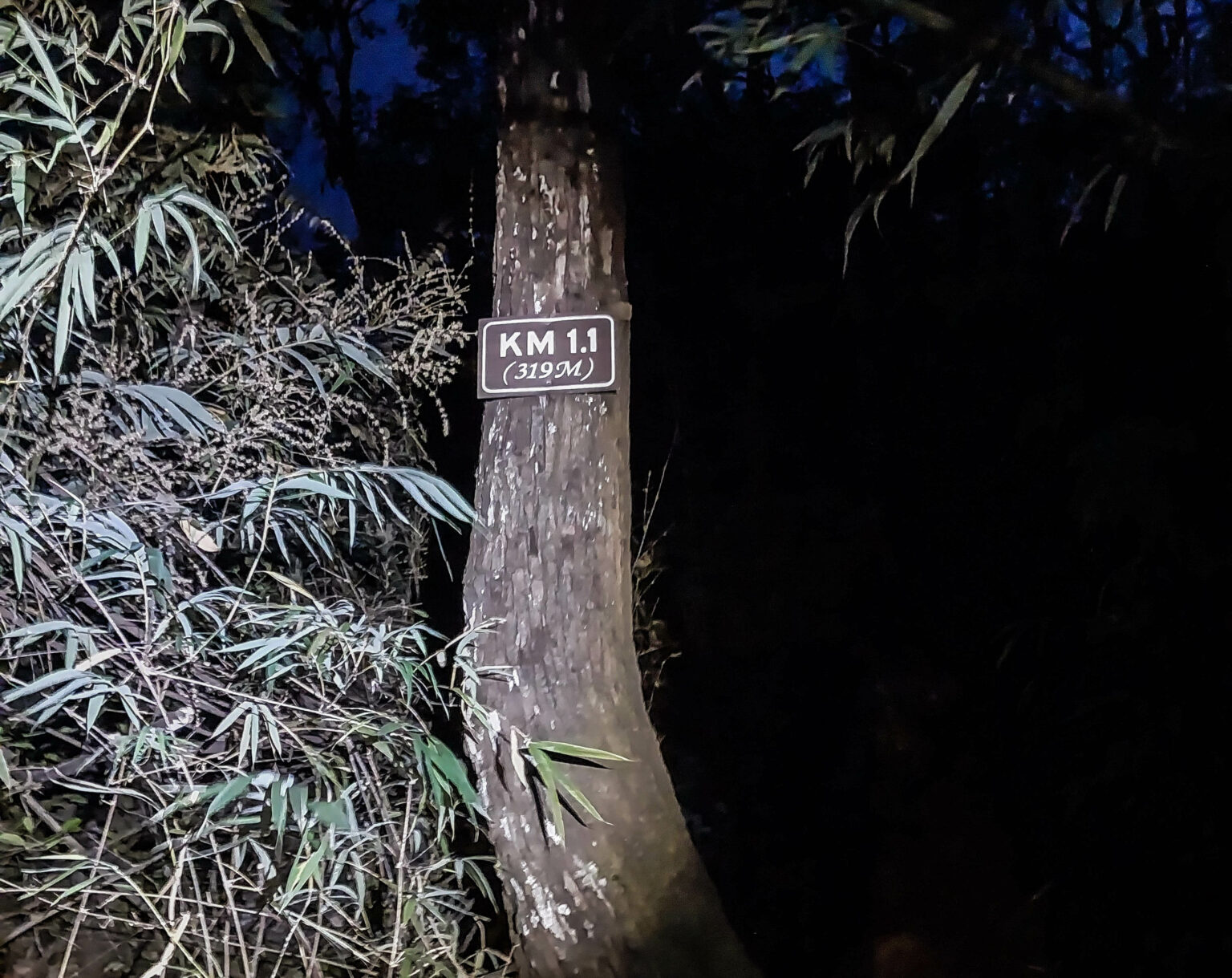 I Survived Gunung Baling Mountain & You Can Too! - The Island Drum