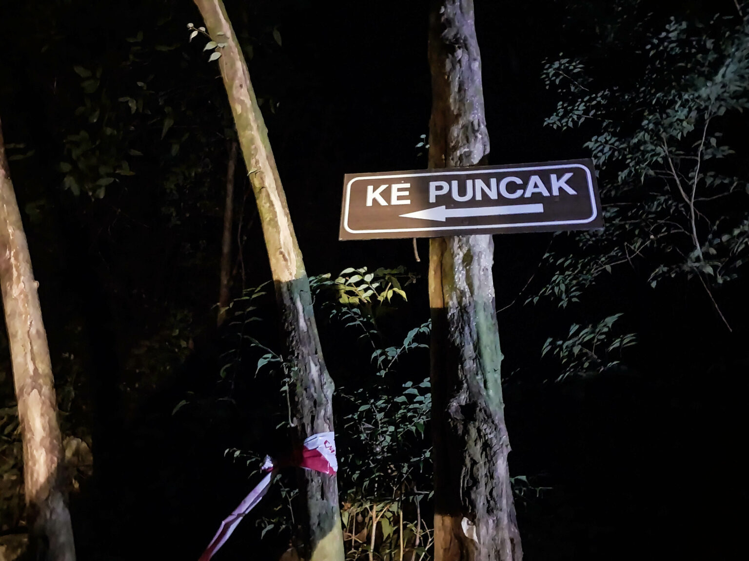 I Survived Gunung Baling Mountain & You Can Too! - The Island Drum