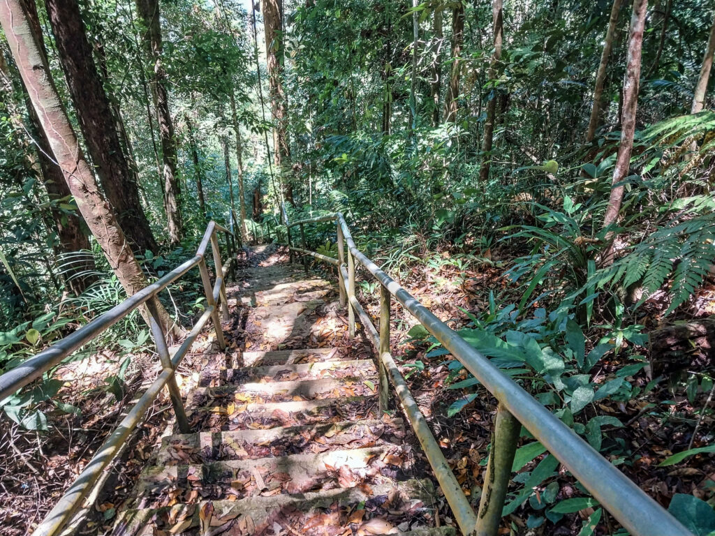 Climbing Gunung Raya's Eagle Stairs - The Island Drum