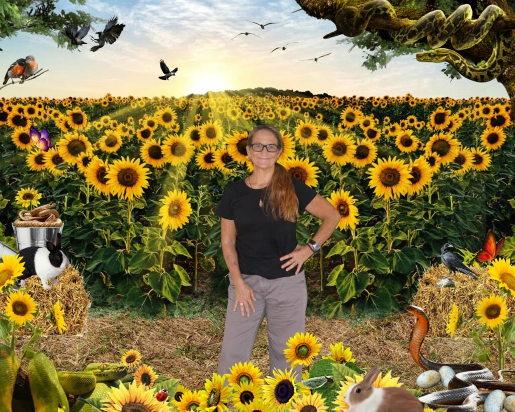 Let's Visit the Perlis Snake and Reptile Farm! - The Island Drum