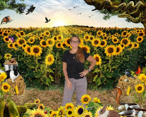 Let's Visit the Perlis Snake and Reptile Farm! - The Island Drum