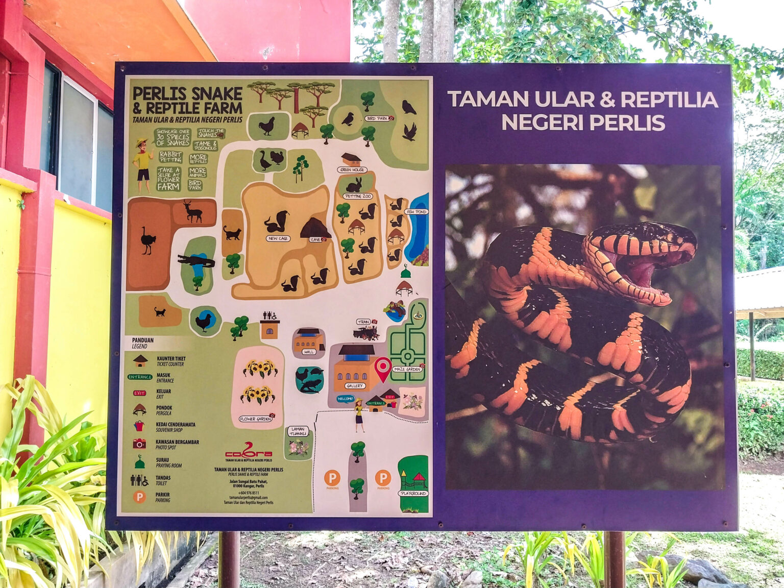 Let's Visit the Perlis Snake and Reptile Farm! - The Island Drum