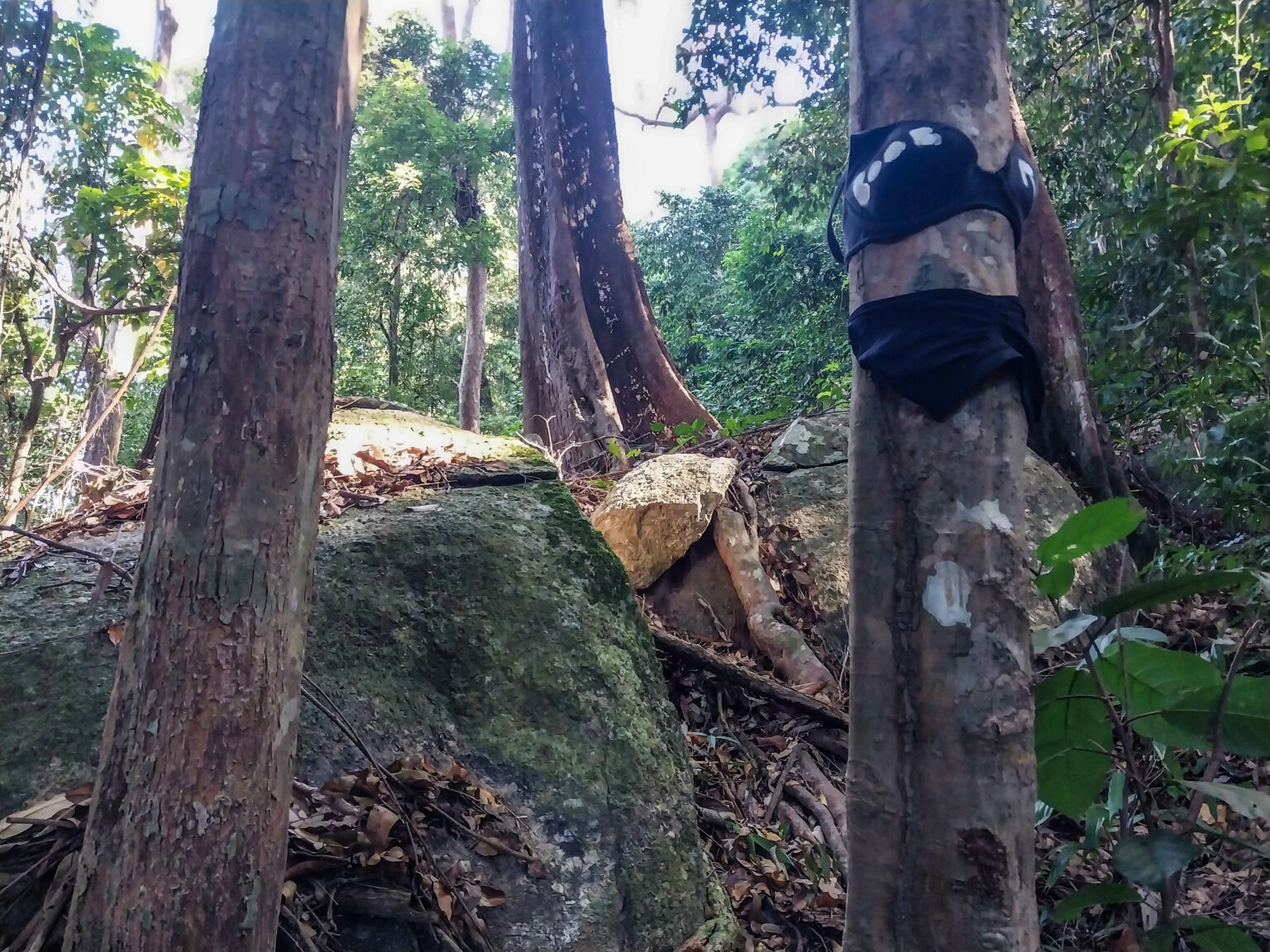 Climbing Gunung Raya's Eagle Stairs - The Island Drum