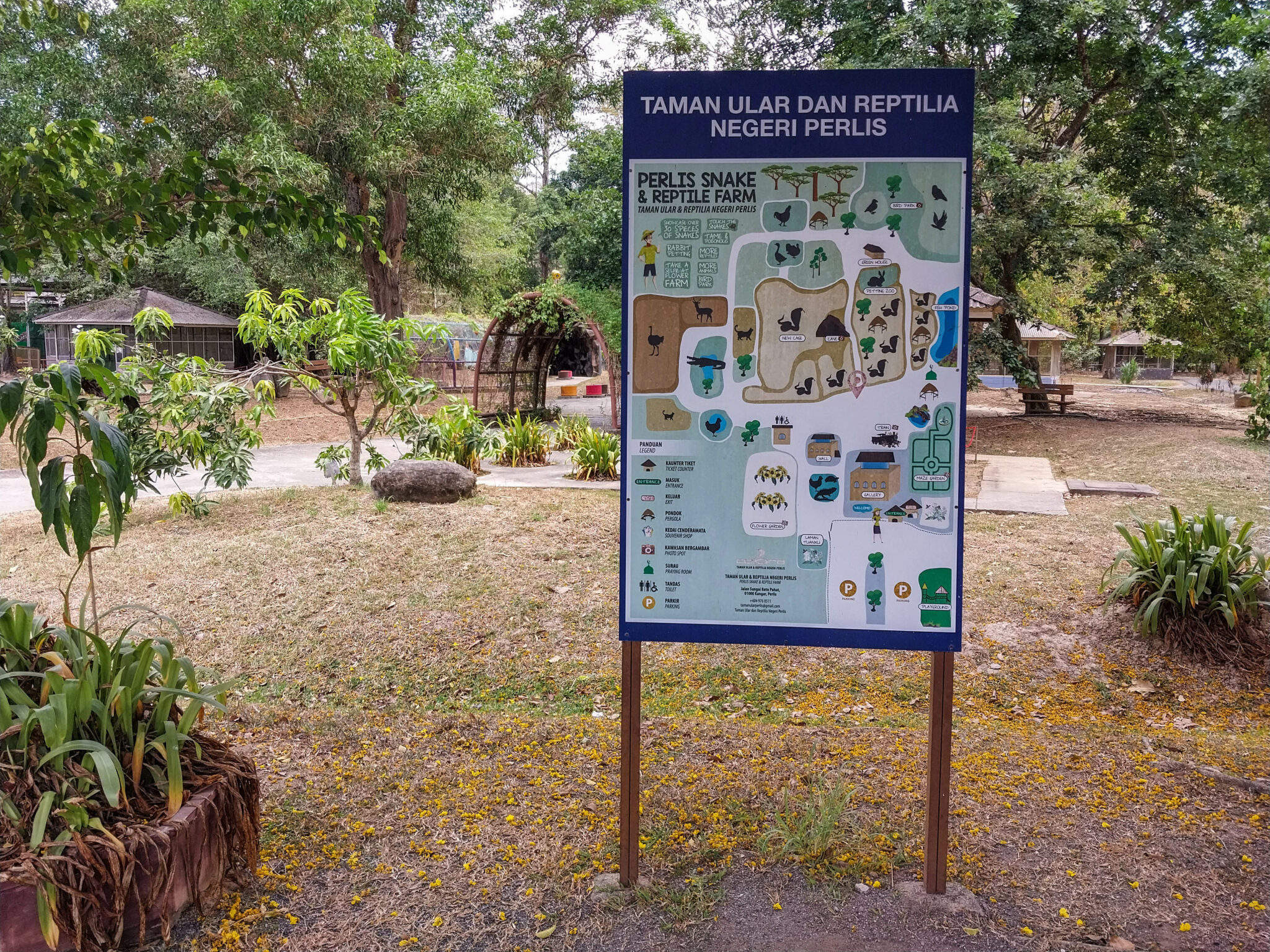 Let's Visit the Perlis Snake and Reptile Farm! - The Island Drum