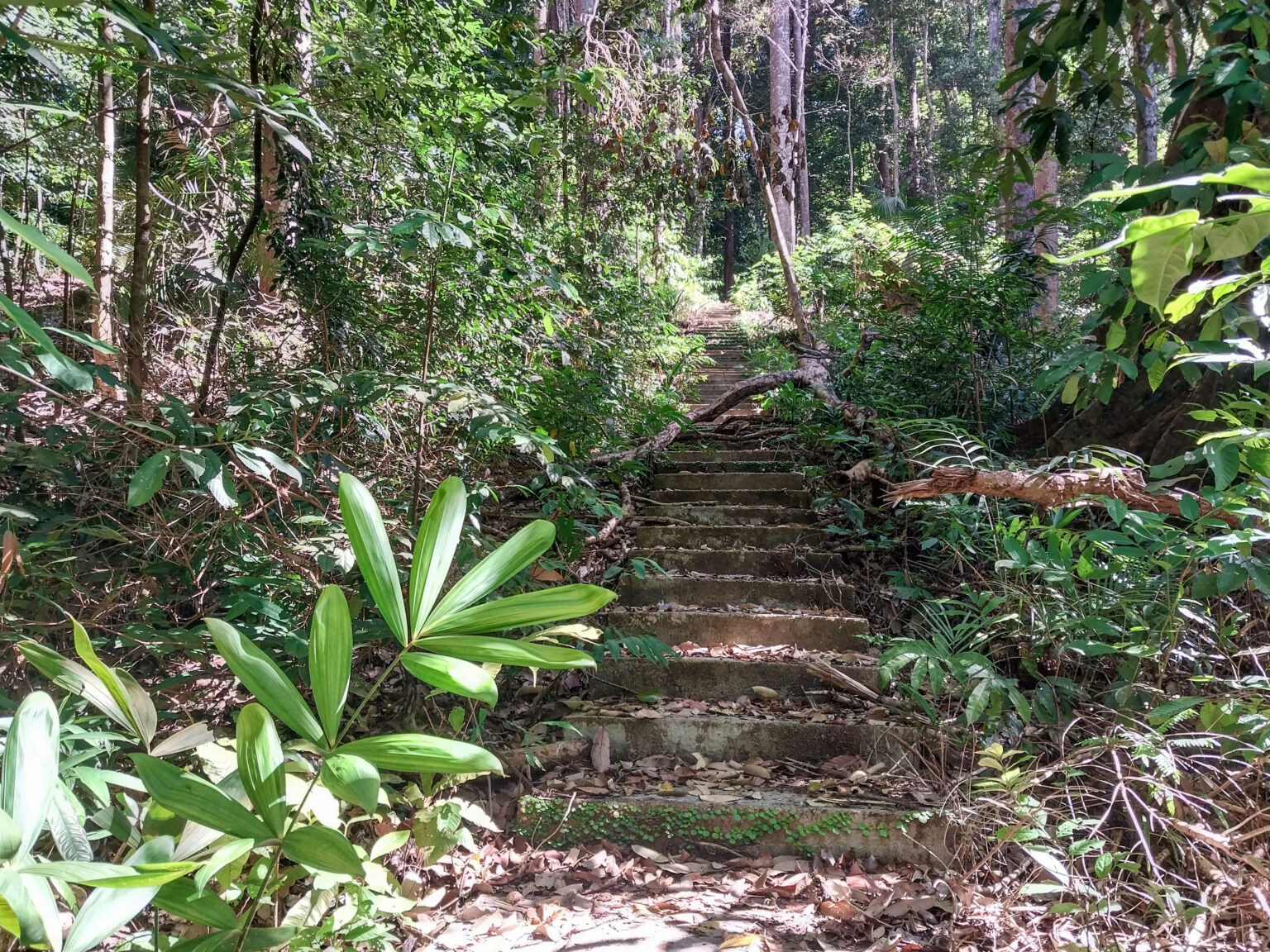 Climbing Gunung Raya's Eagle Stairs - The Island Drum