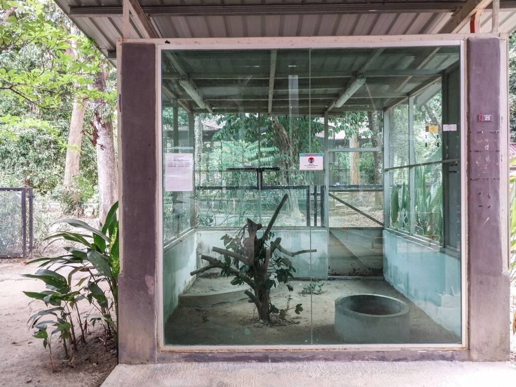 Let's Visit the Perlis Snake and Reptile Farm! - The Island Drum