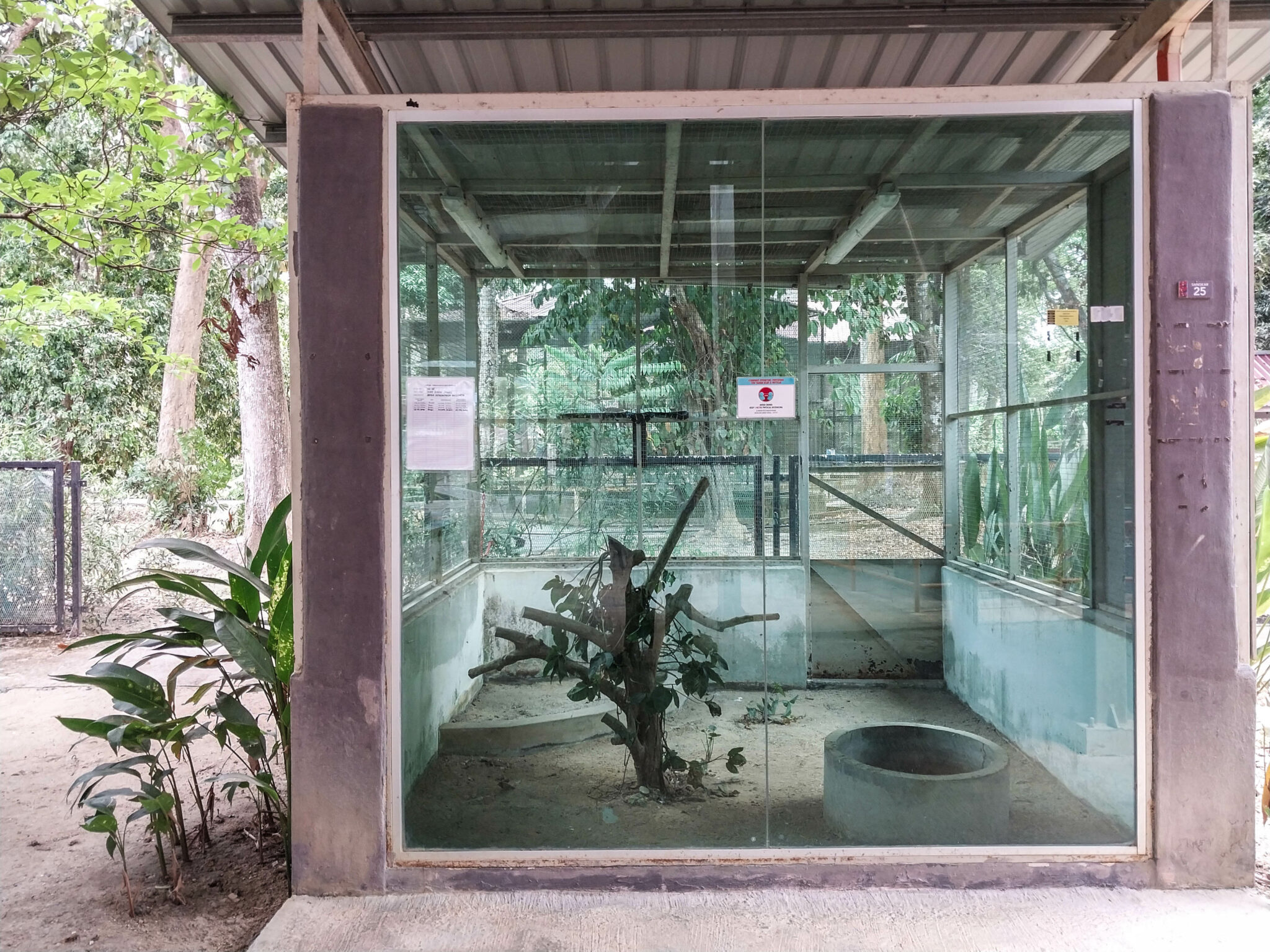 Let's Visit the Perlis Snake and Reptile Farm! - The Island Drum