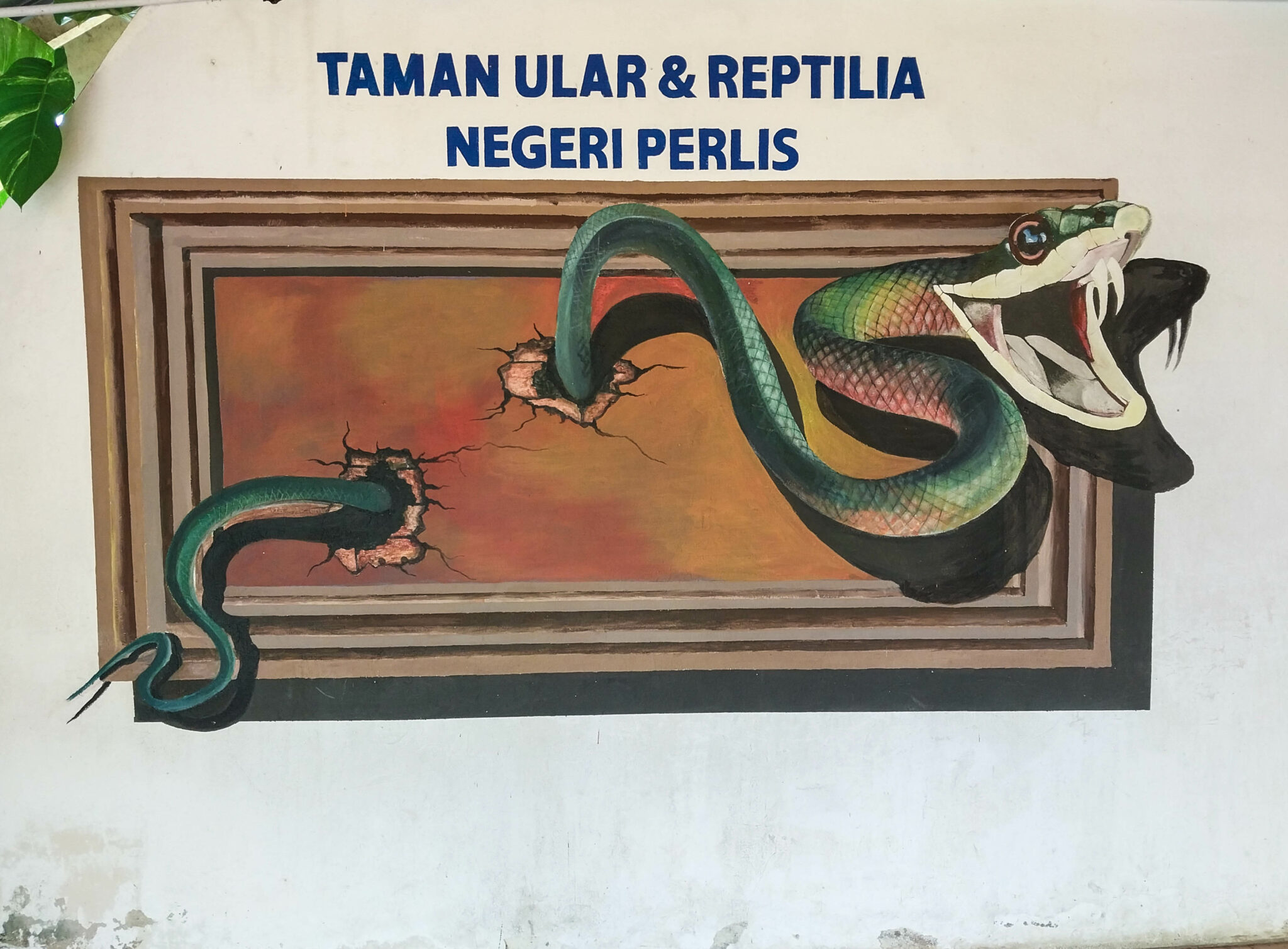 Let's Visit the Perlis Snake and Reptile Farm! - The Island Drum