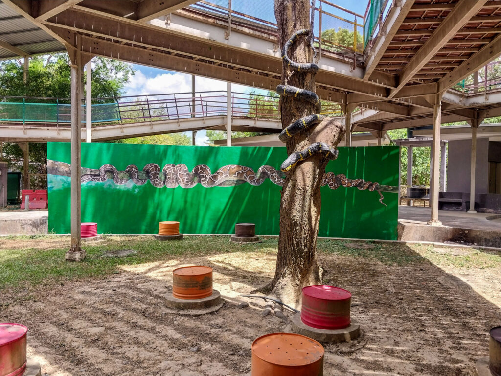 Let's Visit the Perlis Snake and Reptile Farm! - The Island Drum