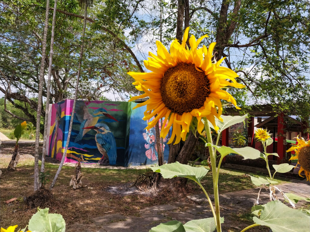 Let's Visit the Perlis Snake and Reptile Farm! - The Island Drum