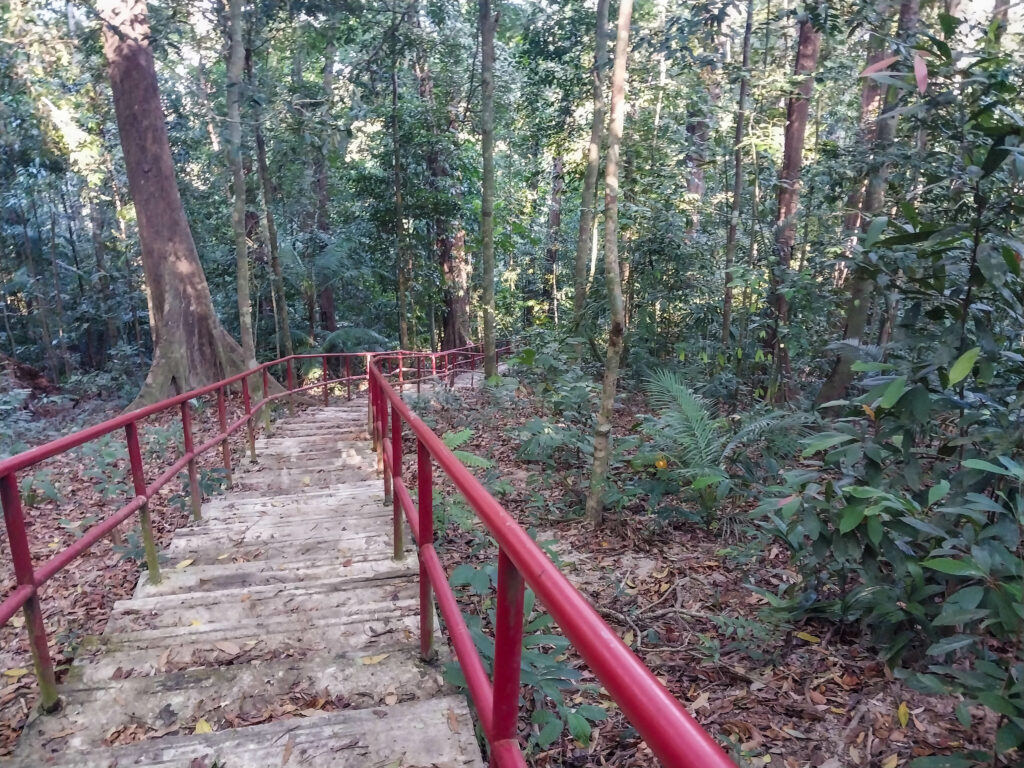 Climbing Gunung Raya's Eagle Stairs - The Island Drum