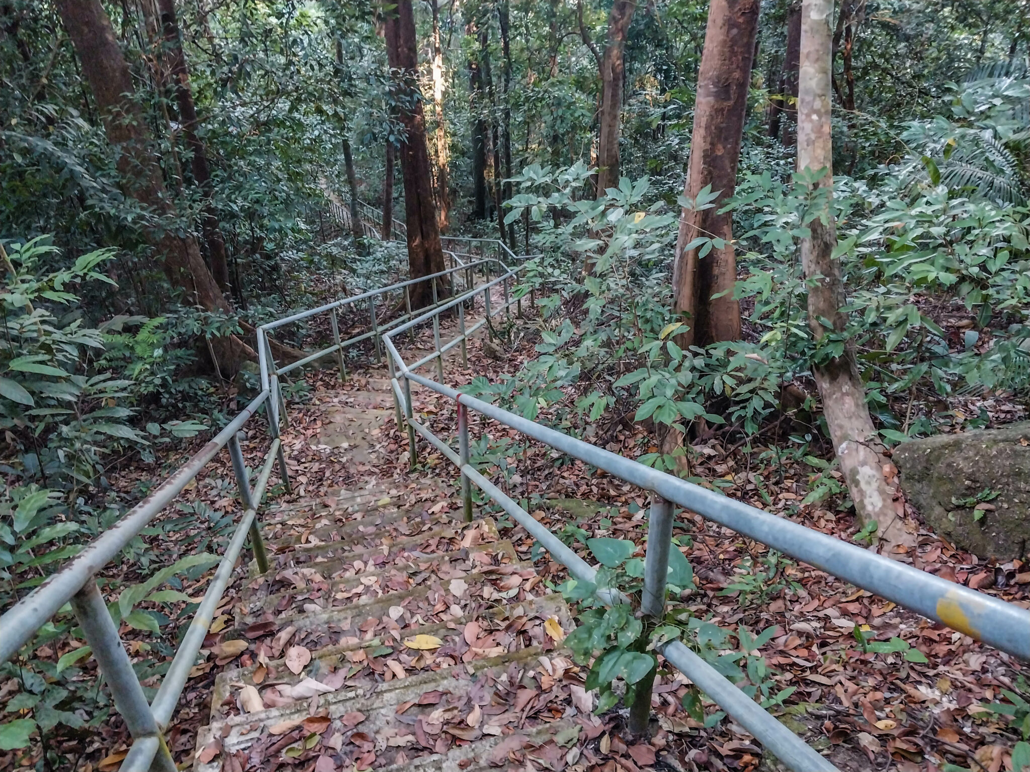 Climbing Gunung Raya's Eagle Stairs - The Island Drum