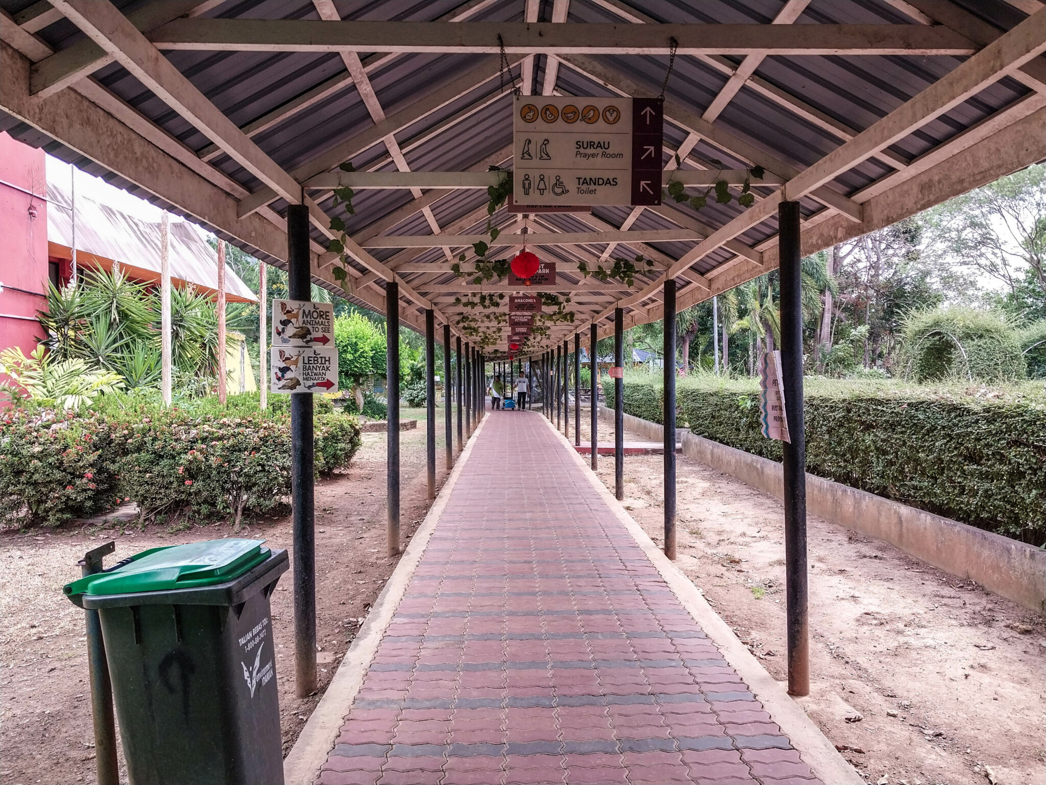 Let's Visit the Perlis Snake and Reptile Farm! - The Island Drum
