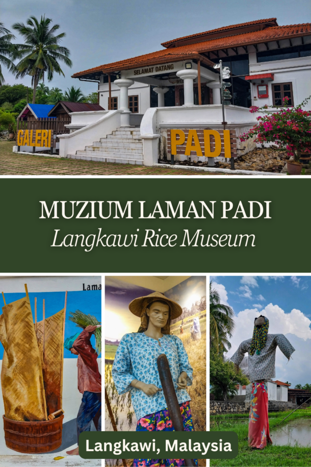 Laman Padi Langkawi Rice Museum and Garden - The Island Drum
