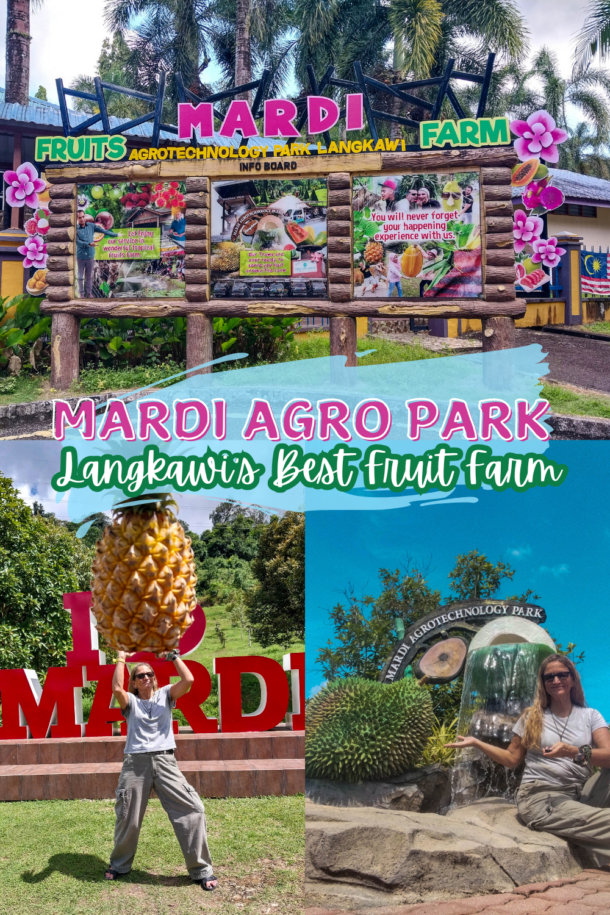 Mardi Agro Technology Park, Langkawi's Best Fruit Farm - The Island Drum
