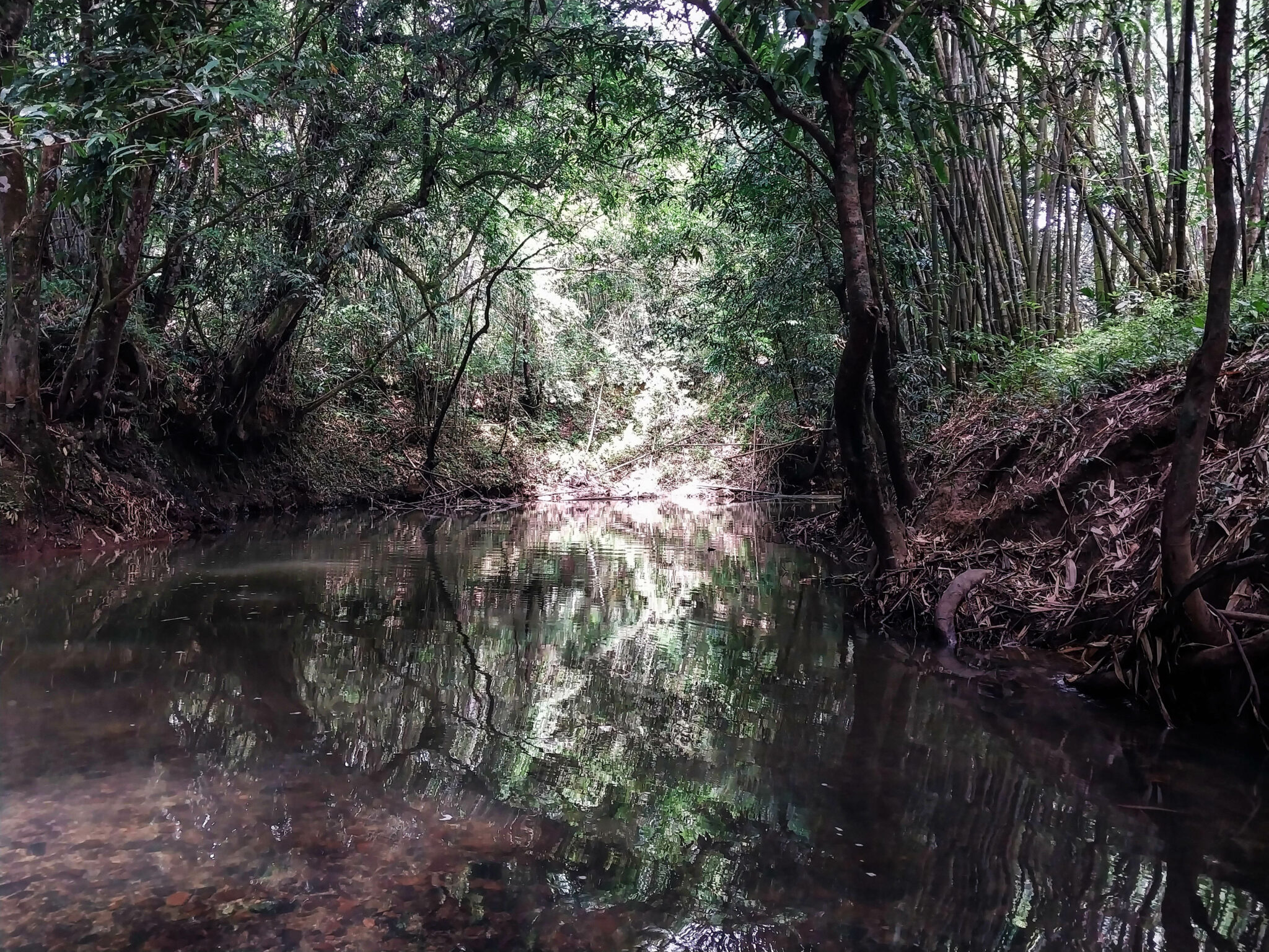 Bamboo Rafting in Sarawak: Best River Adventure Near Kuching - The ...