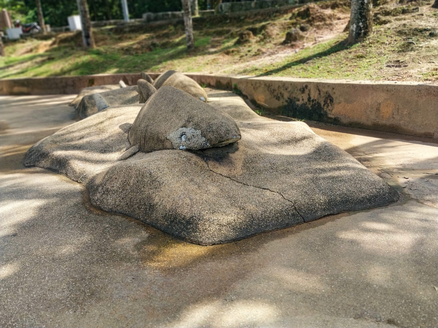 Teluk Yu Langkawi: The Real Story Behind “Shark Bay” - The Island Drum